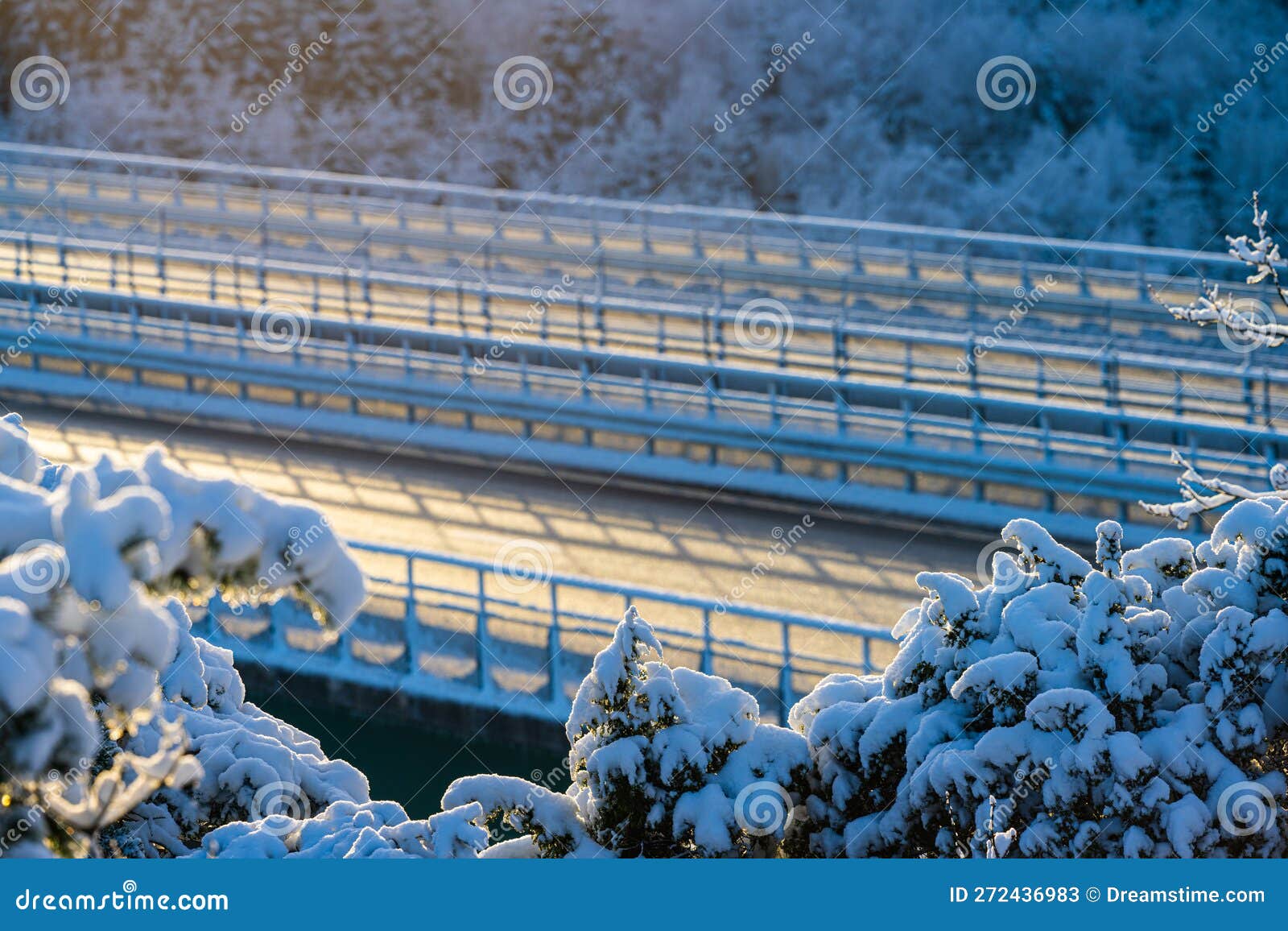 Snow Filled Trees and Bushes in Front of a Highway at Winter.. Stock ...