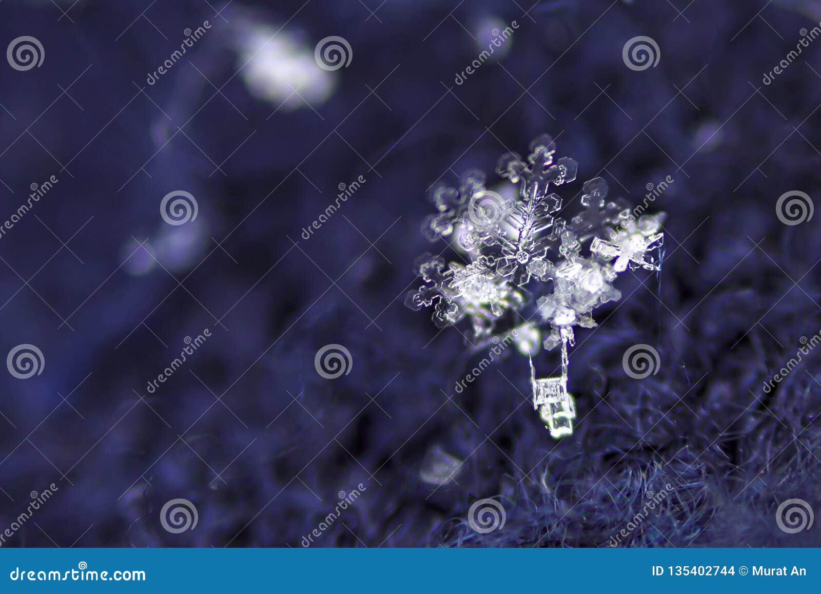 Snow Flake Crystal on Blue Texture Stock Photo - Image of background ...