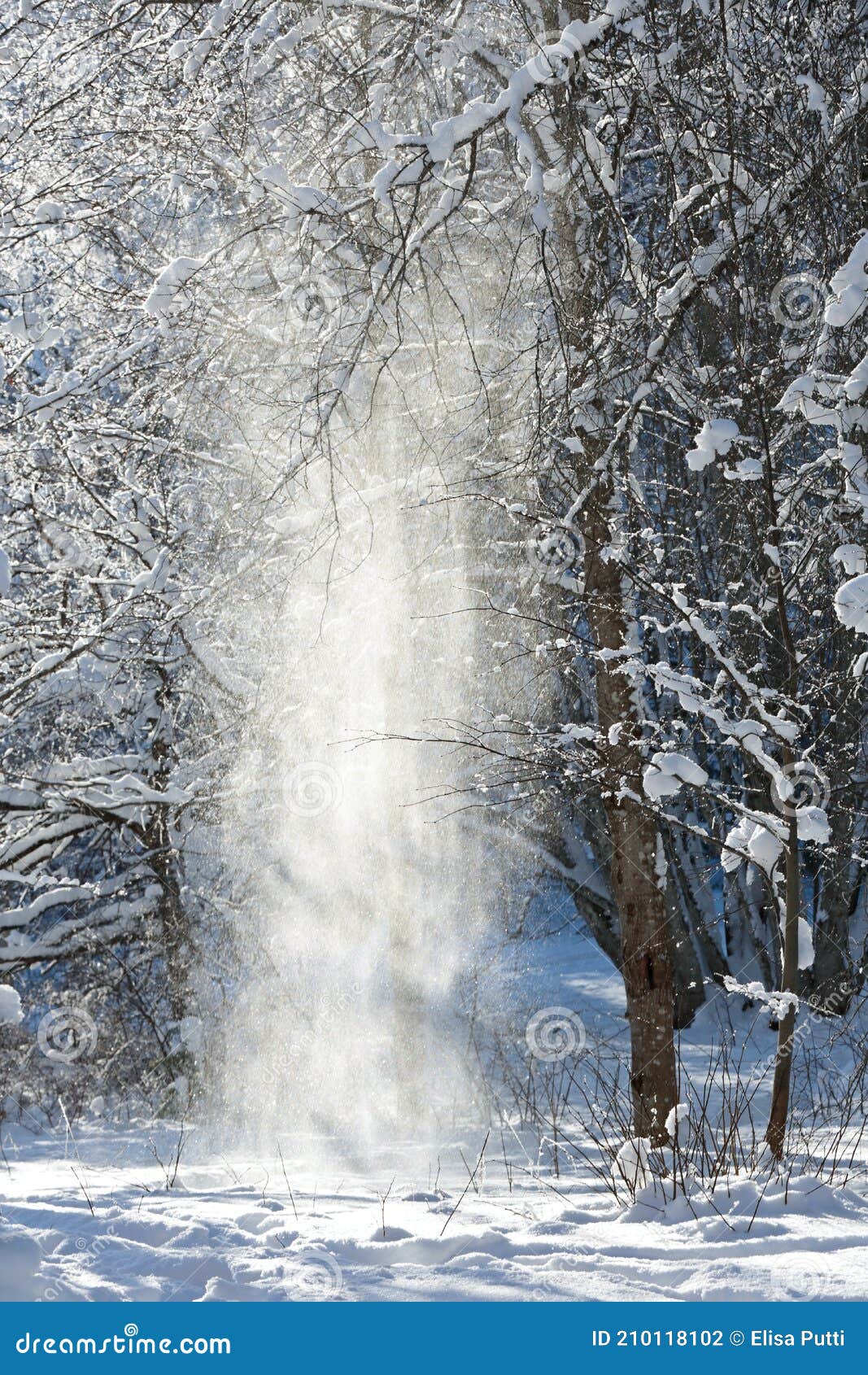 Snow Flake Falling Down from a Tree Stock Photo - Image of nature ...