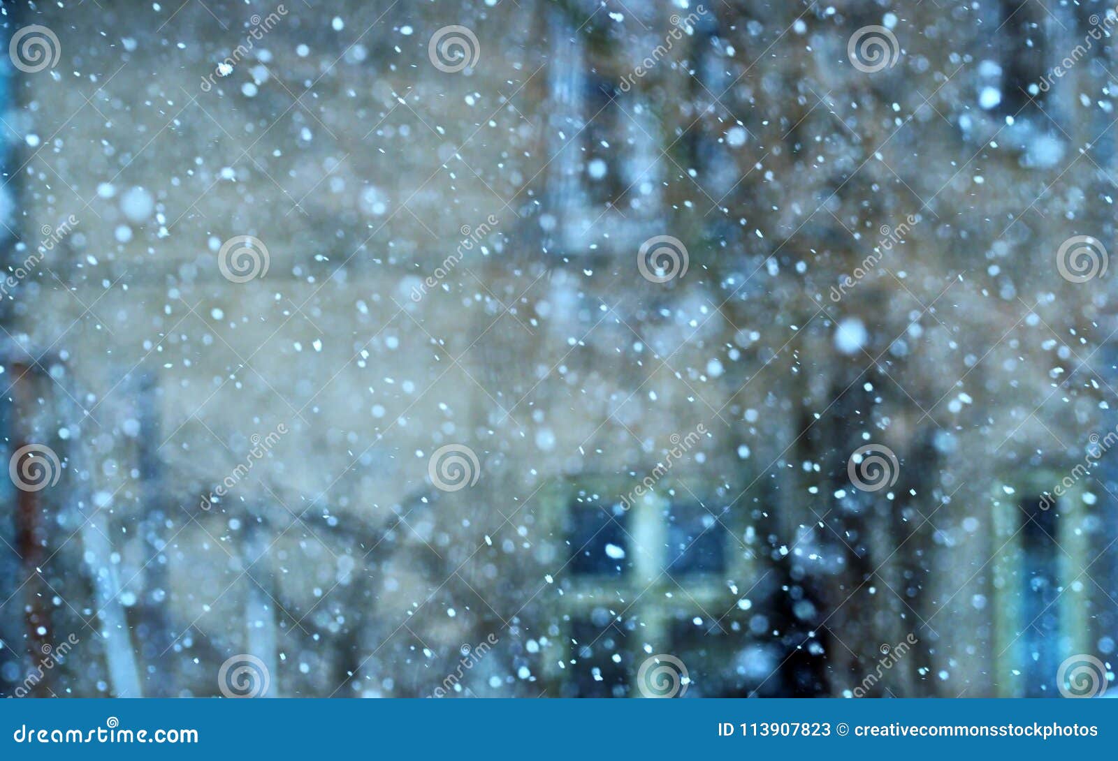Snow Flakes Picture. Image: 113907823