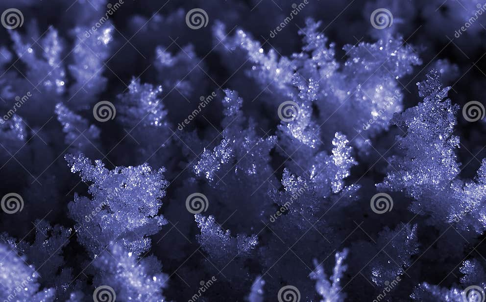 Snow flakes stock photo. Image of cold, flake, freeze, motif - 827050