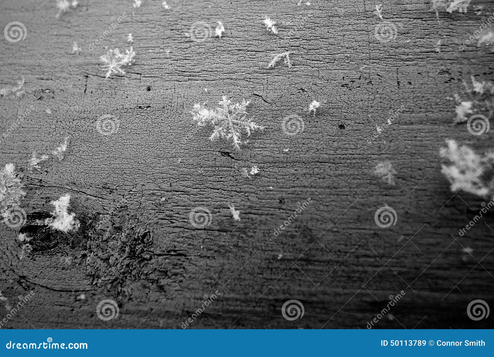 Snow Flakes stock image. Image of nature, details, abstract - 50113789