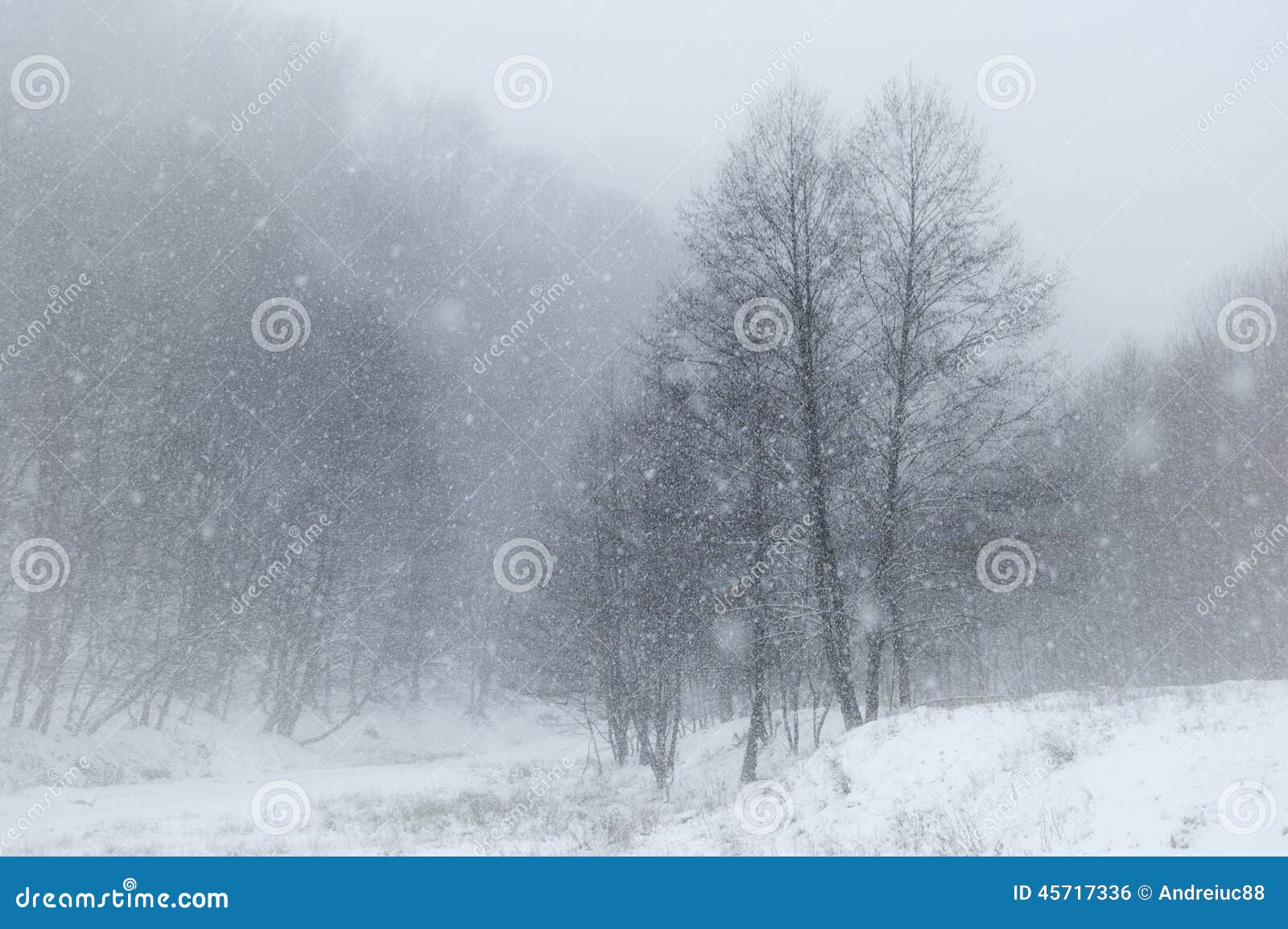 Snow Flakes Falling Over Landscape in Winter Stock Photo - Image of ...