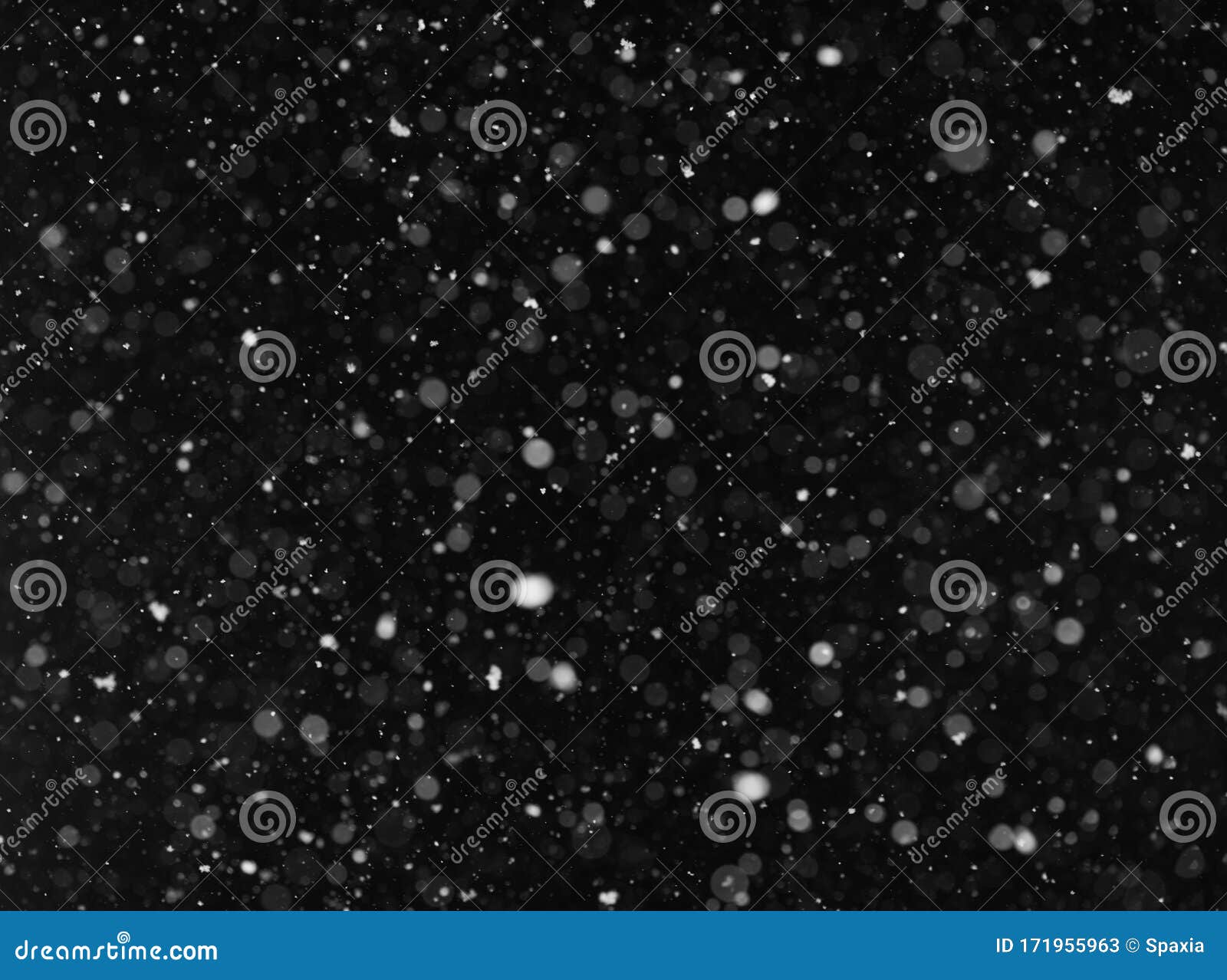 Snow. Flying Dust Particles on a Black Stock Image - Image of glitter ...