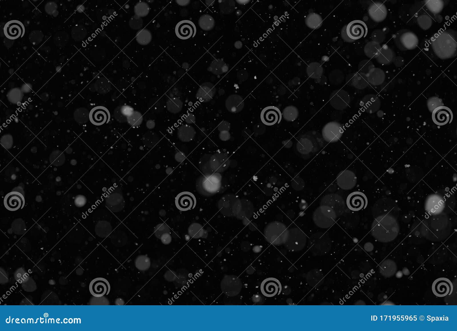 Snow. Flying Dust Particles on a Black Stock Image - Image of snow ...
