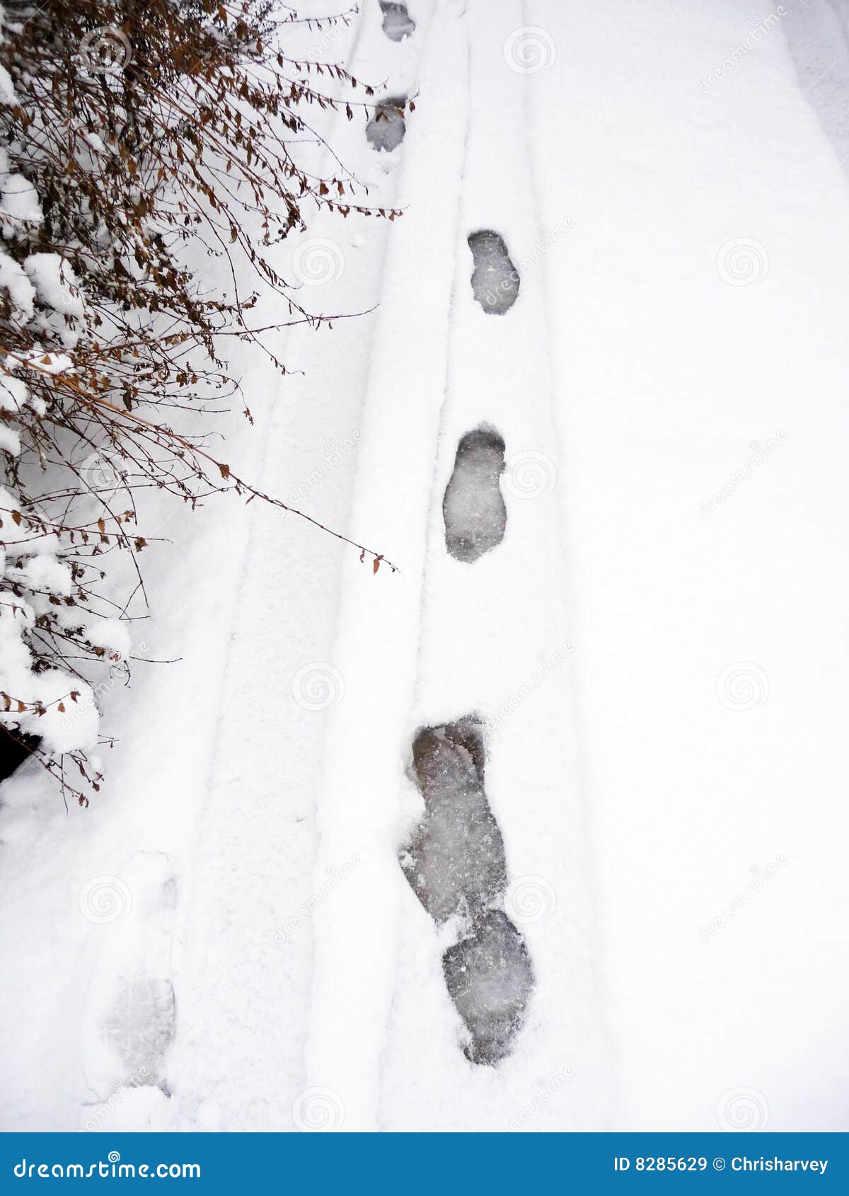 Snow Foot Prints stock image. Image of prints, walked - 8285629