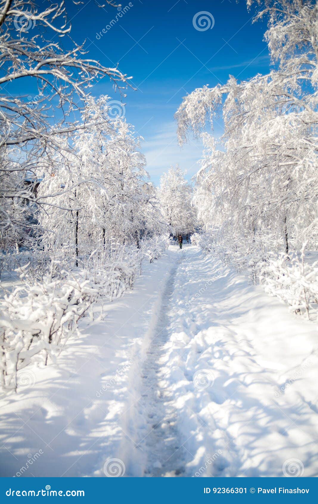 Snow footpath stock image. Image of high, nature, january - 92366301