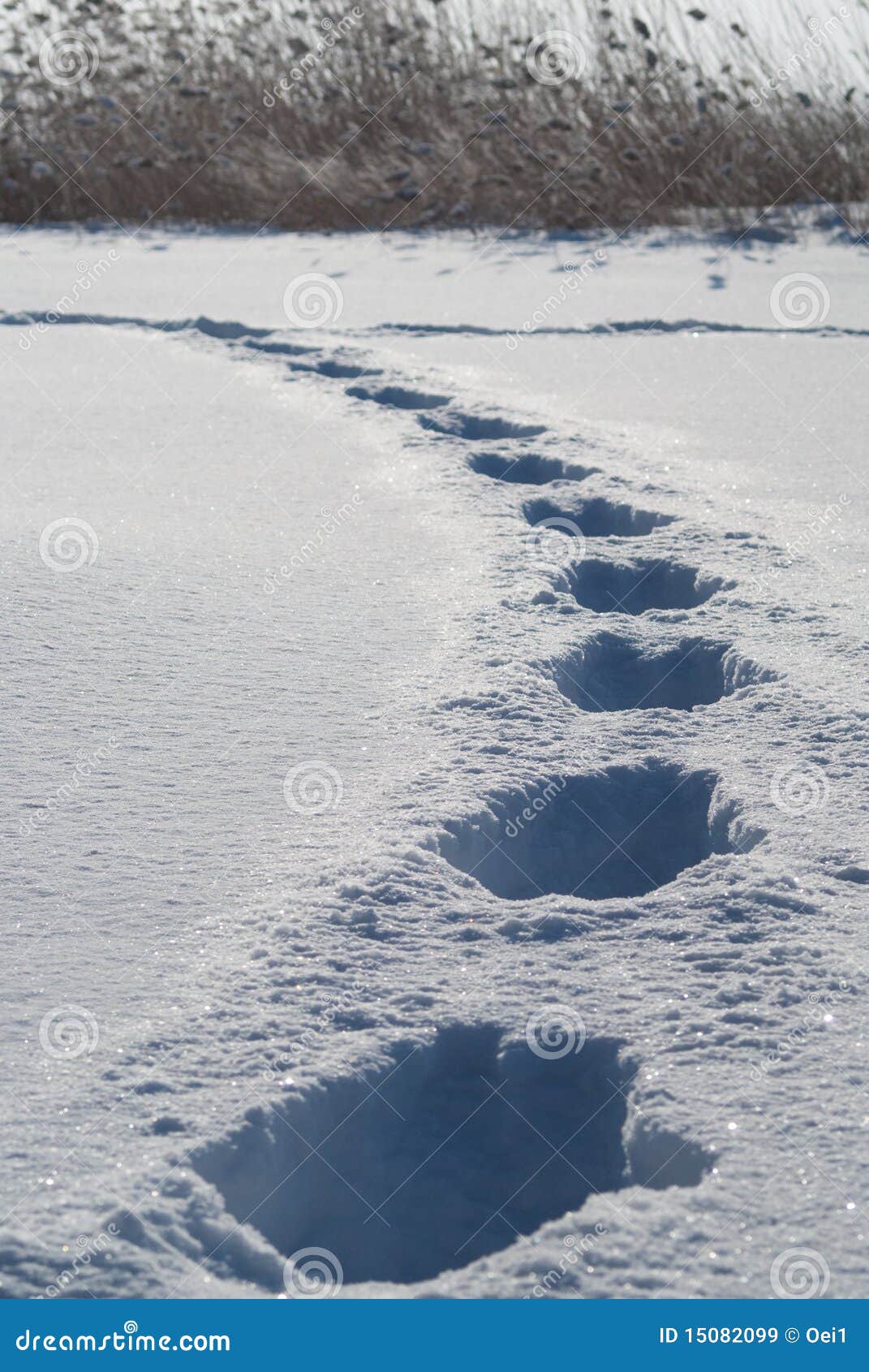 Snow footprints stock image. Image of snow, chilly, park - 15082099