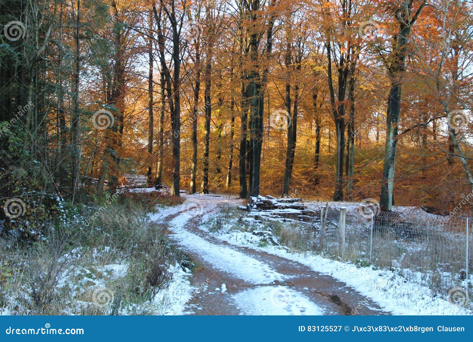 Snow on forest path stock image. Image of path, brown - 83125527