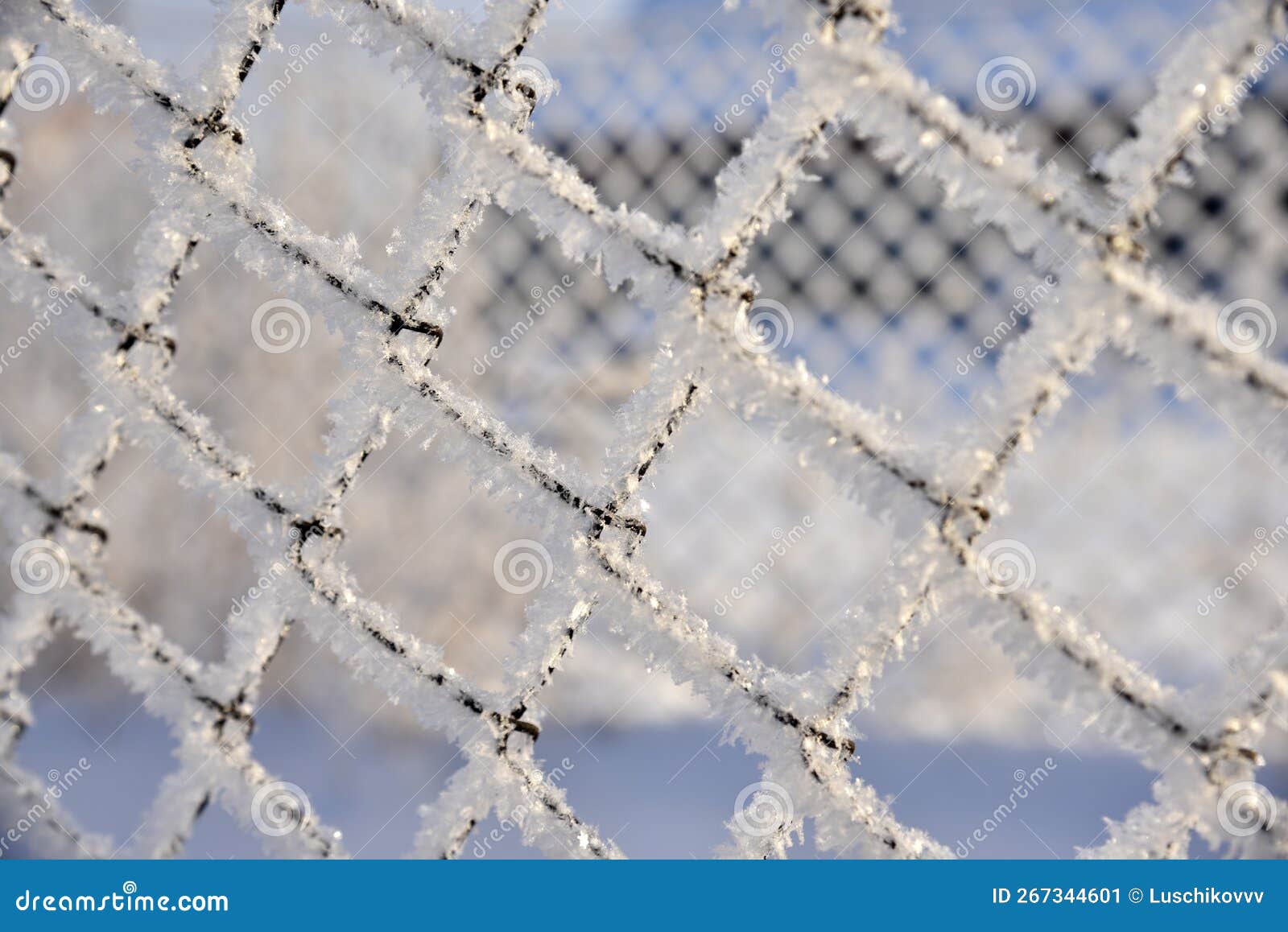 Snow Frost on the Iron Fence of the Fence. Mesh Netting Stock Image ...