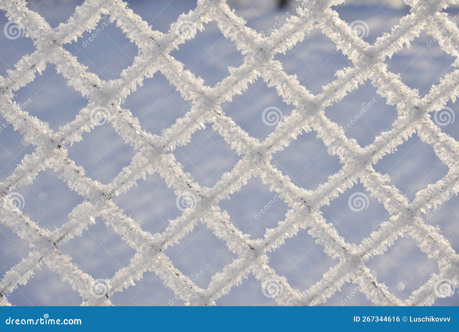 Snow Frost on the Iron Fence of the Fence. Mesh Netting Stock Photo ...