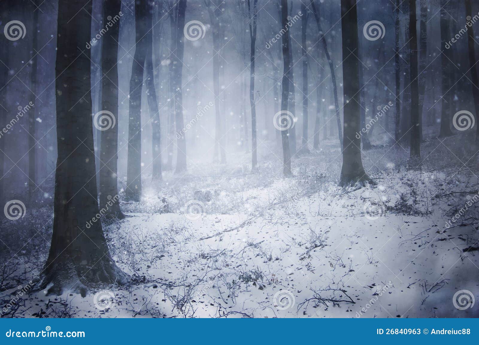 Snow in a Frozen Dark Forest with Snowflakes Stock Image - Image of ...