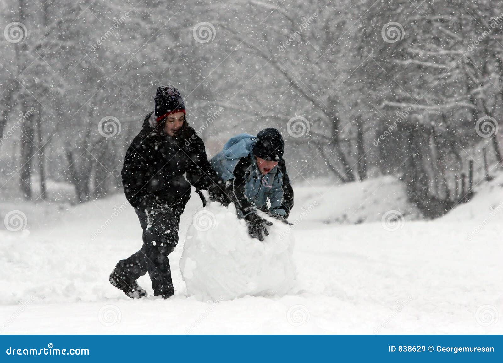 SNOW FUN stock image. Image of girl, forest, park, outside - 838629