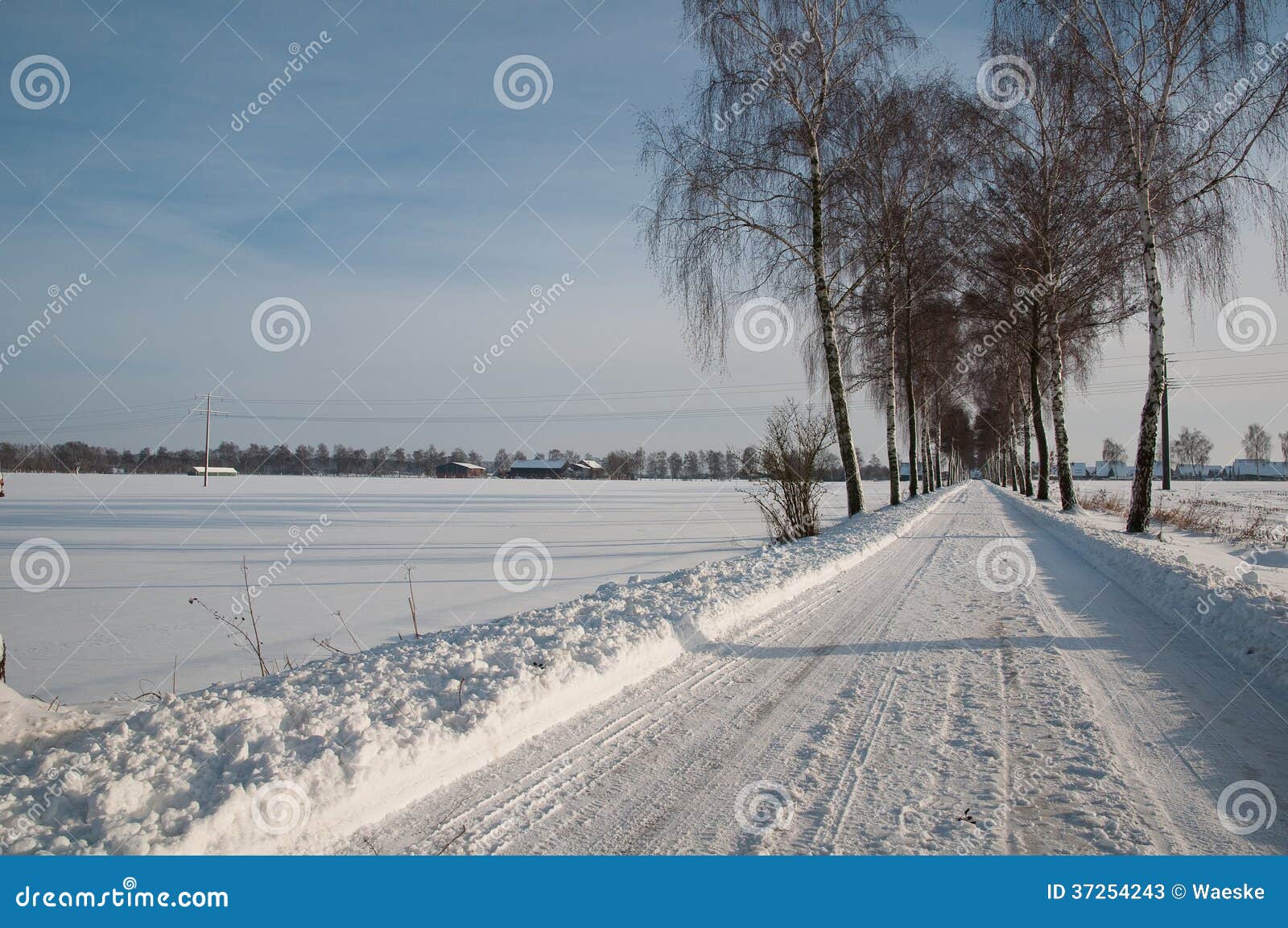 Snow in germany stock image. Image of muensterland, white - 37254243