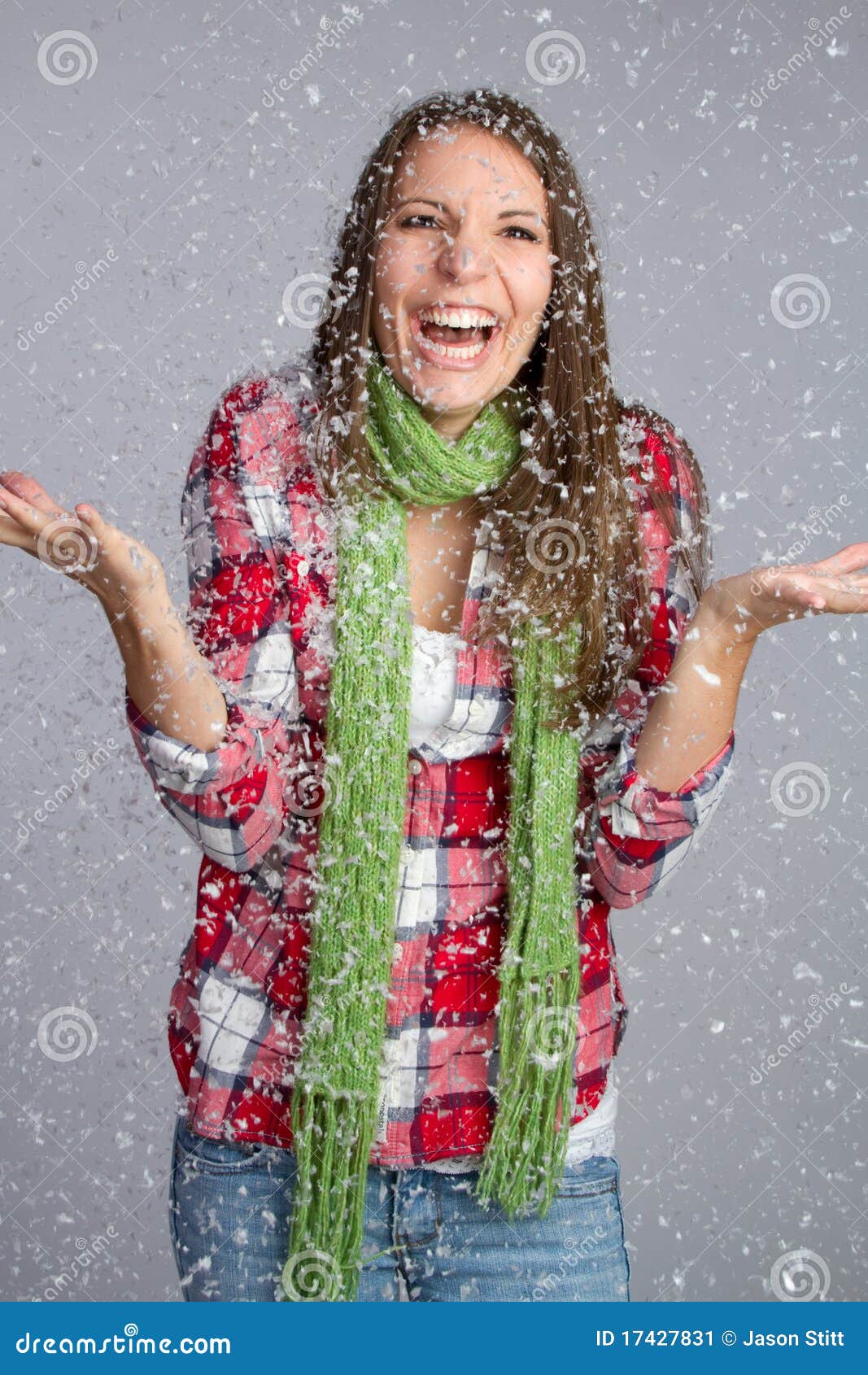 Snow Girl stock image. Image of gorgeous, cheerful, beauty - 17427831