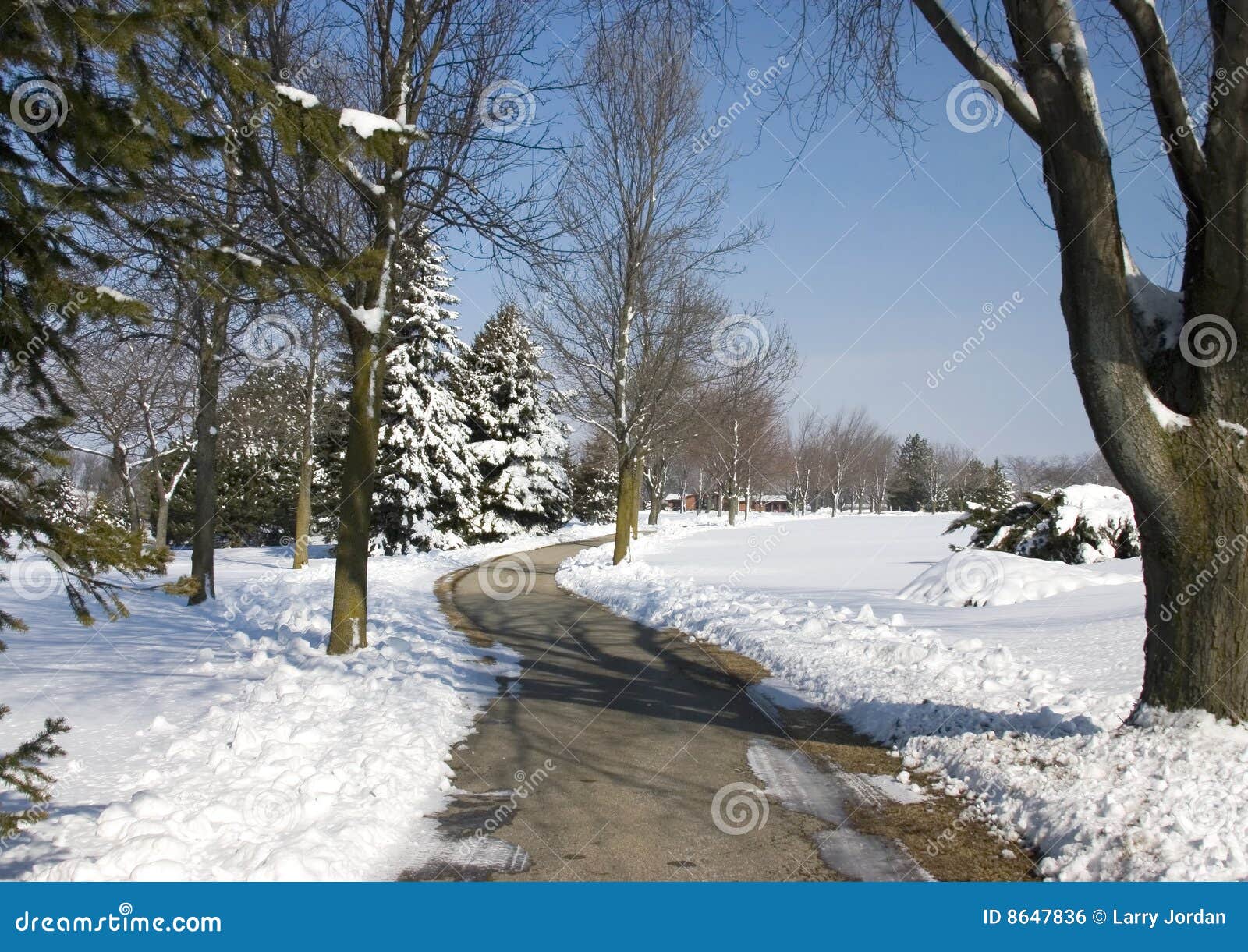 Snow on the Golf Cart Path stock photo. Image of fairway - 8647836