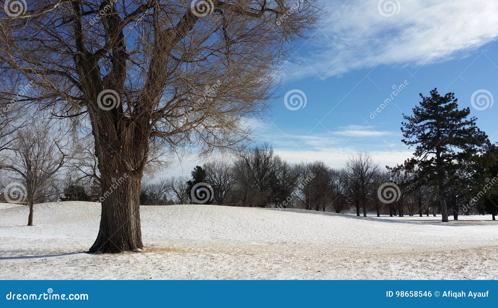 Snow in a Golf Course stock photo. Image of snow, golf - 98658546