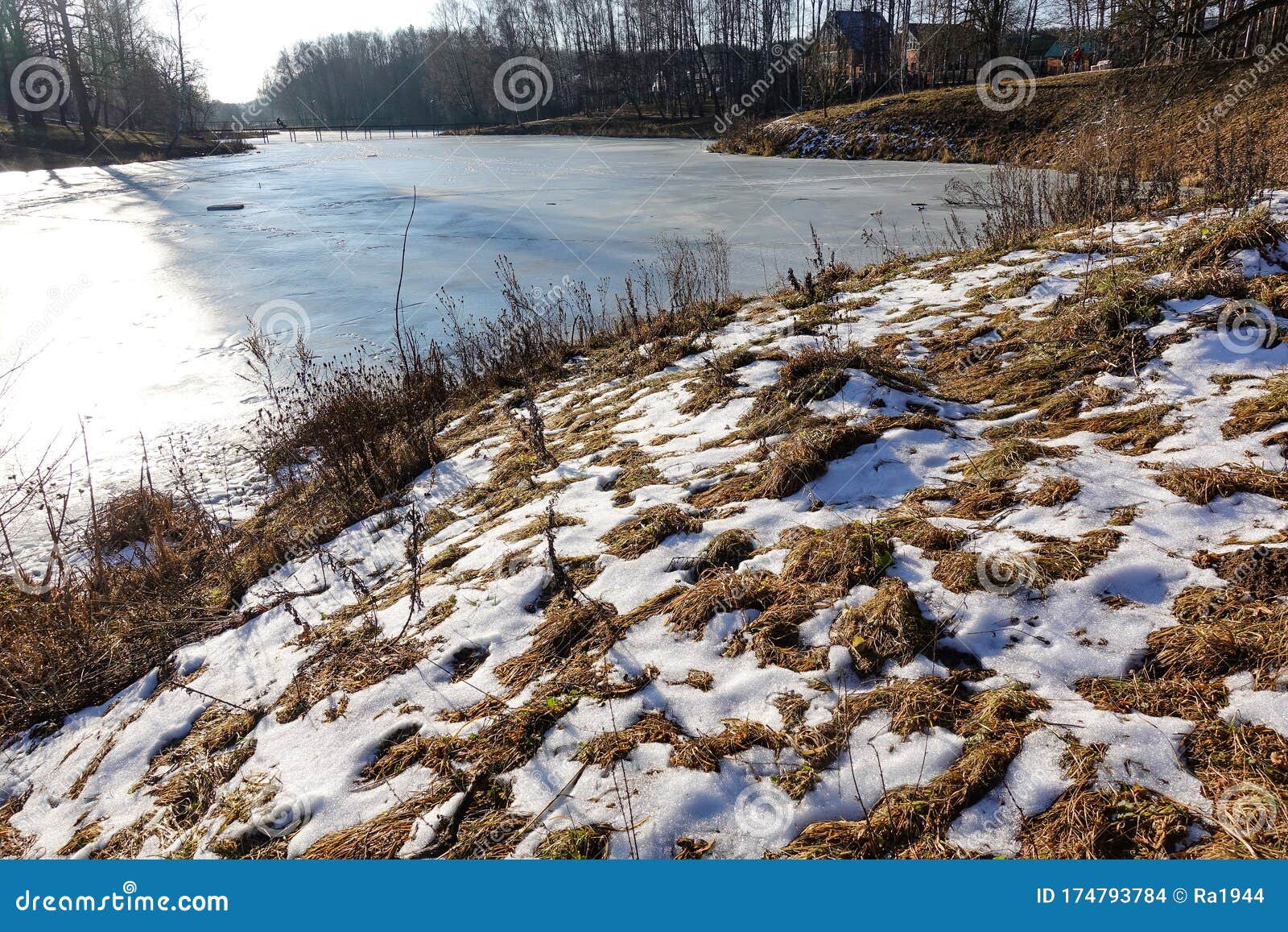 The Snow is almost Gone. through the Thaw of Snow Dry Grass is Visible ...