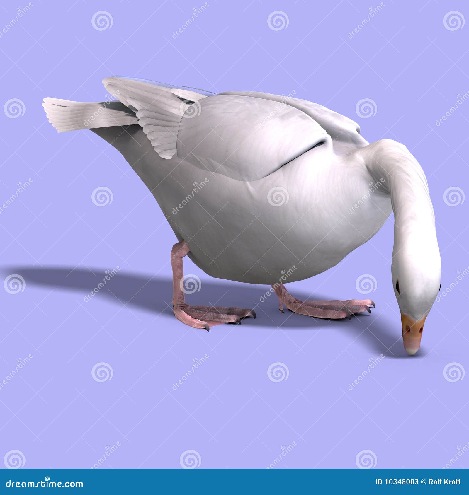 Snow goose stock illustration. Illustration of clipart - 10348003