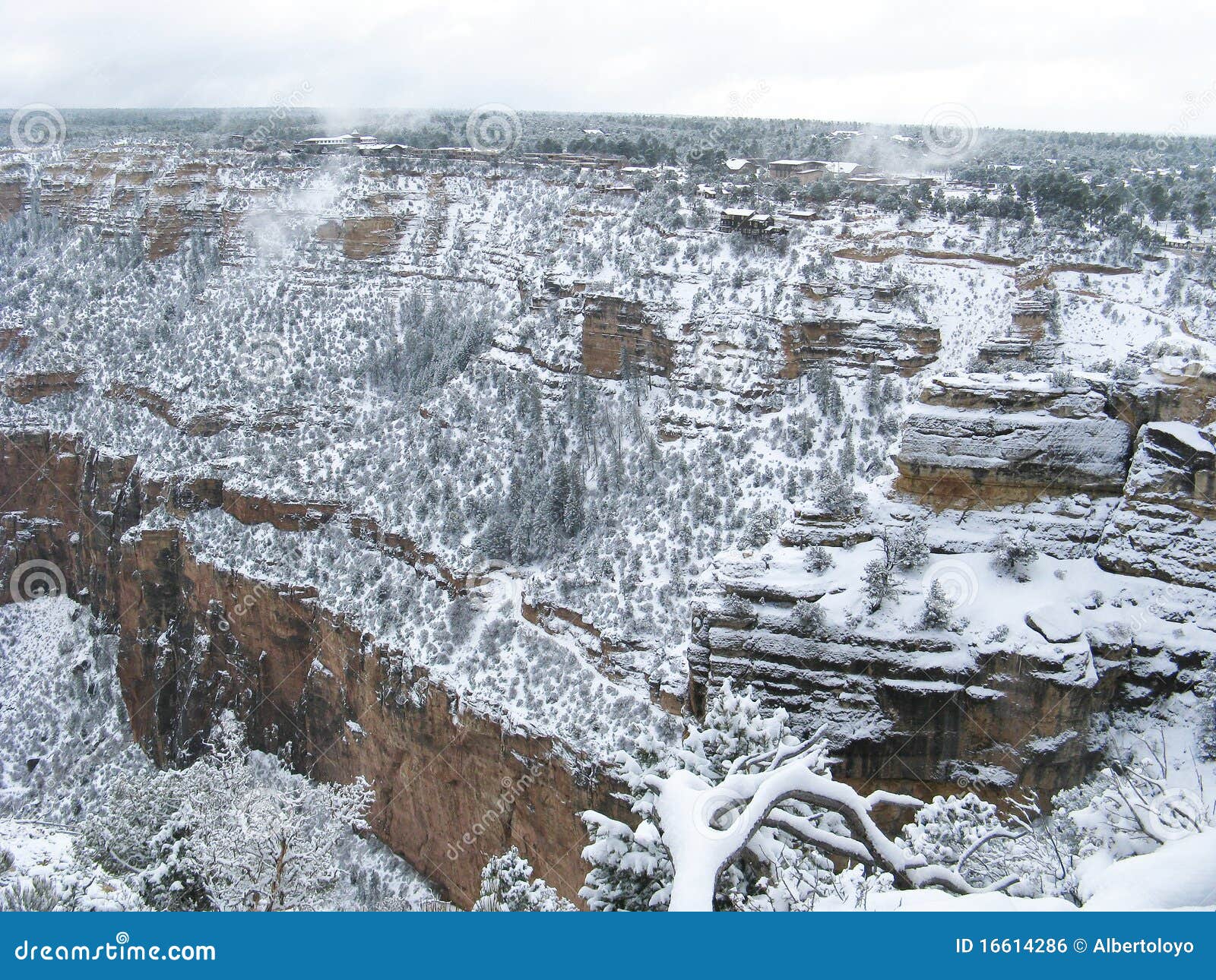 Snow at Grand Canyon stock photo. Image of winter, america - 16614286