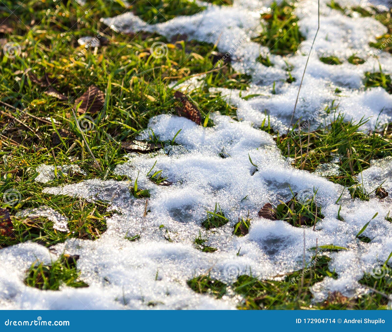 Snow on the Green Grass in Spring Stock Photo - Image of park, white ...