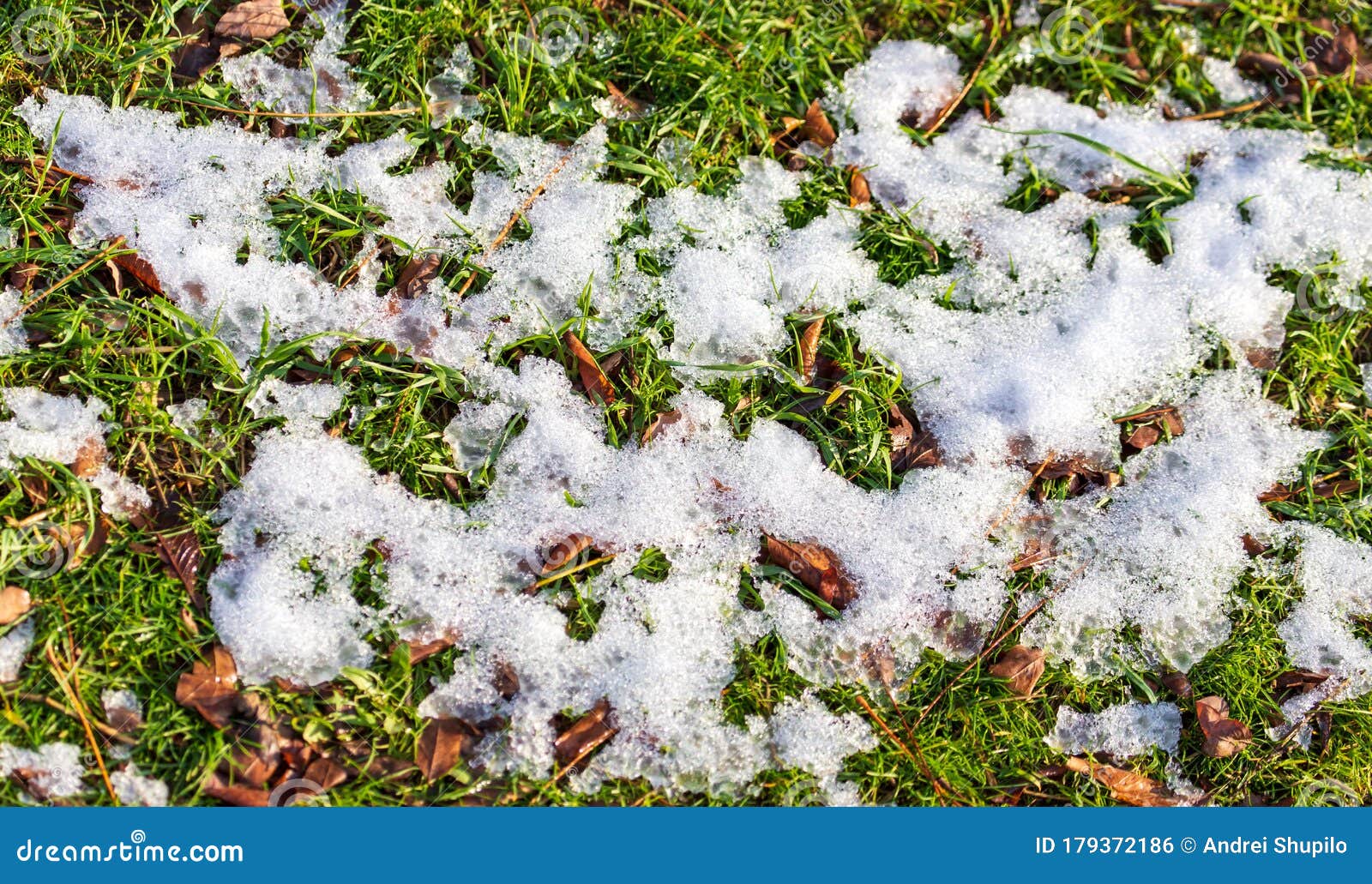 Snow on the Green Grass in Spring Stock Photo - Image of nature, winter ...
