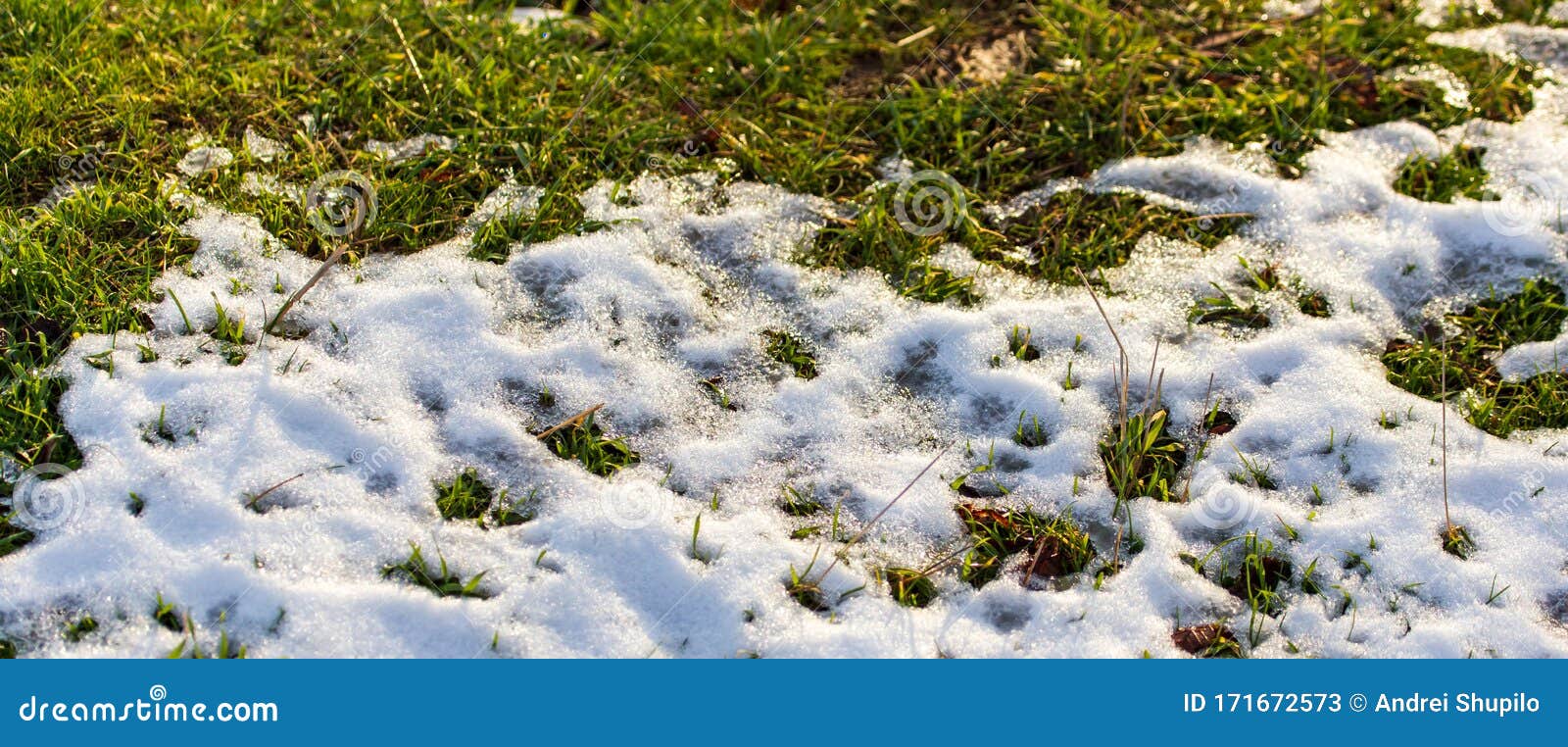 Snow on the Green Grass in Spring Stock Image - Image of copyspace ...