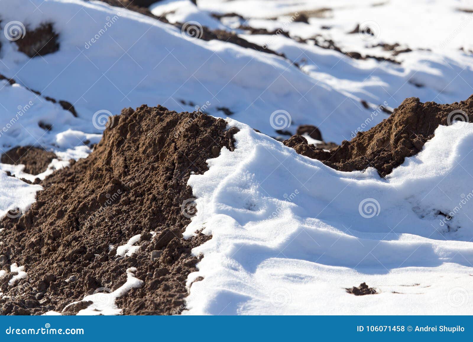 Snow on the ground stock photo. Image of closeup, flake - 106071458