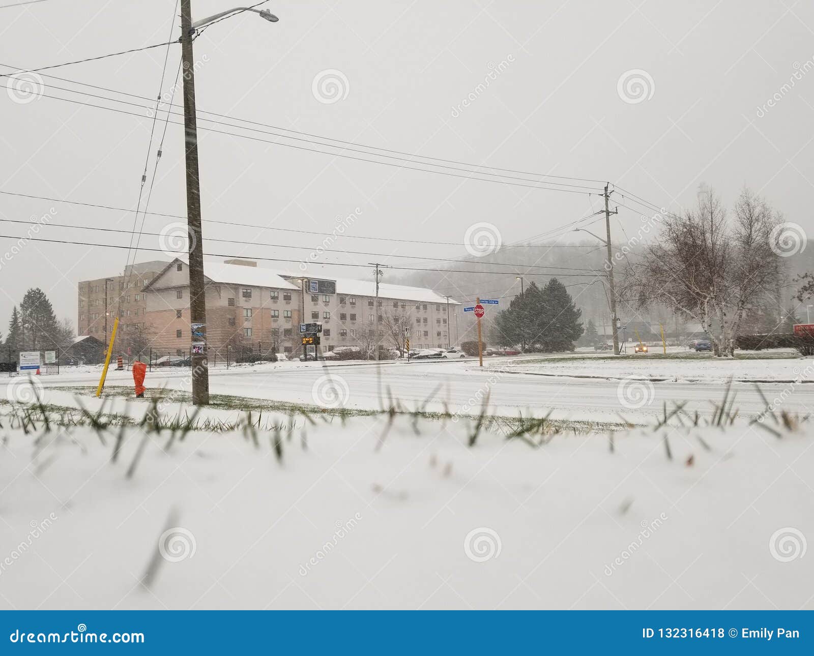 Snow on the ground stock photo. Image of cold, snowy - 132316418