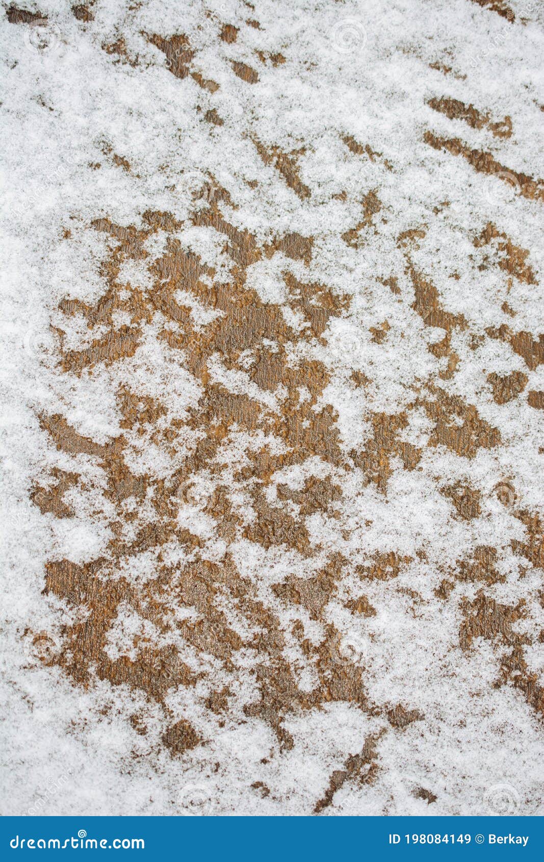 Snow on the Ground in the Winter Stock Image - Image of season, snow ...