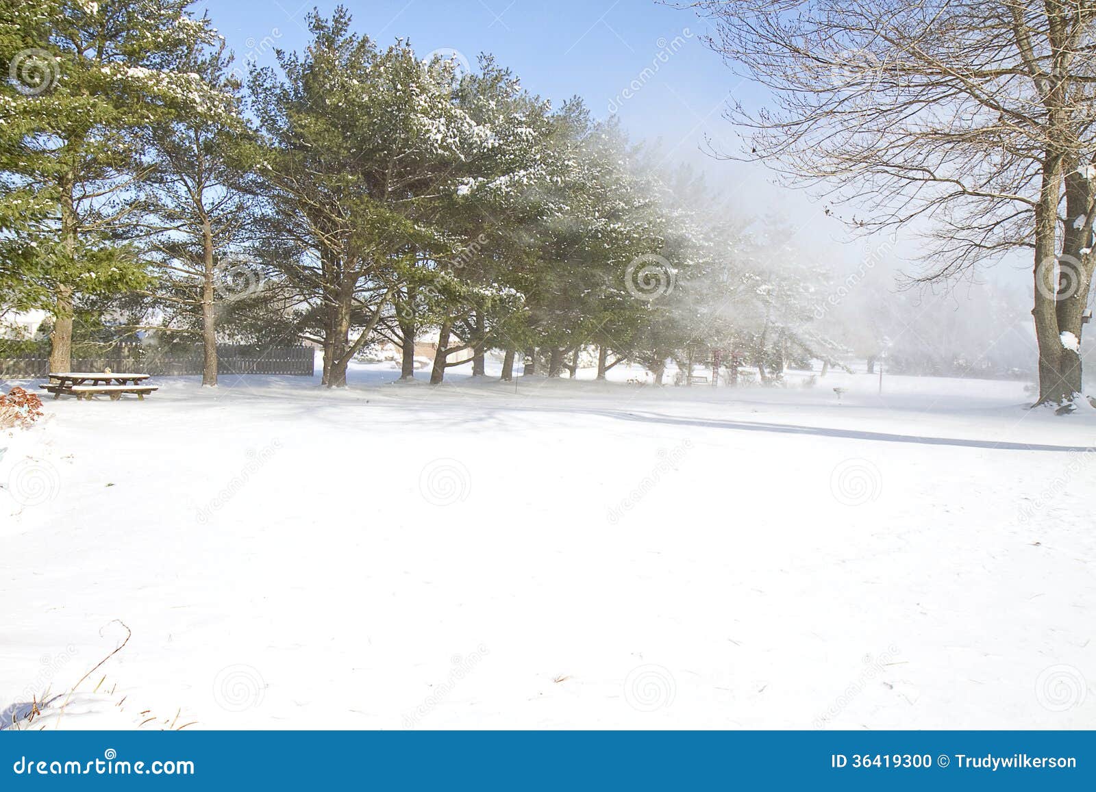 Snow Gusts (3) stock photo. Image of yard, twirling, frigid - 36419300