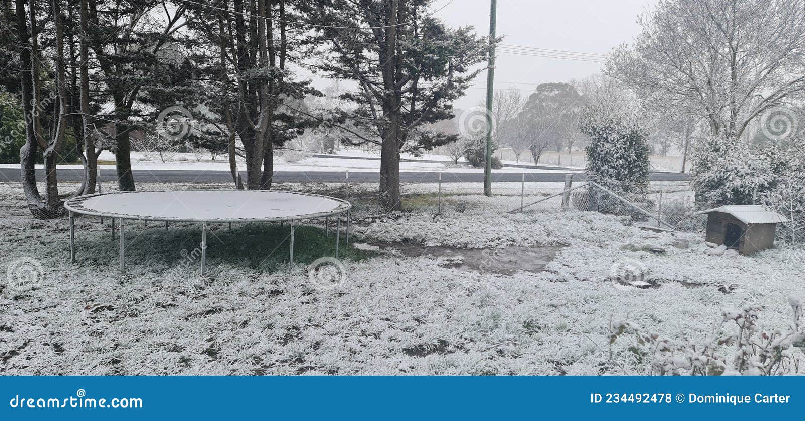 Snow in Guyra Nsw Australia Stock Photo - Image of snow, aust: 234492478