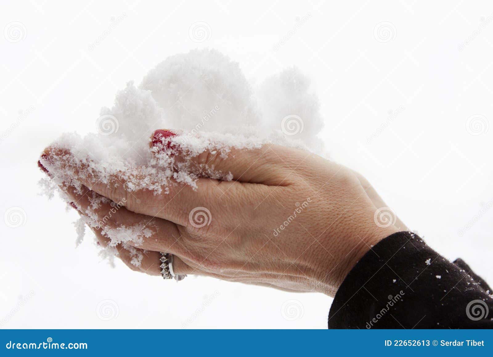 Snow in hand stock image. Image of holding, cold, finger - 22652613