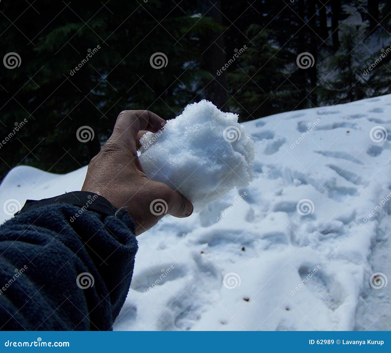Snow in hand stock image. Image of winter, hold, show, powdery - 62989