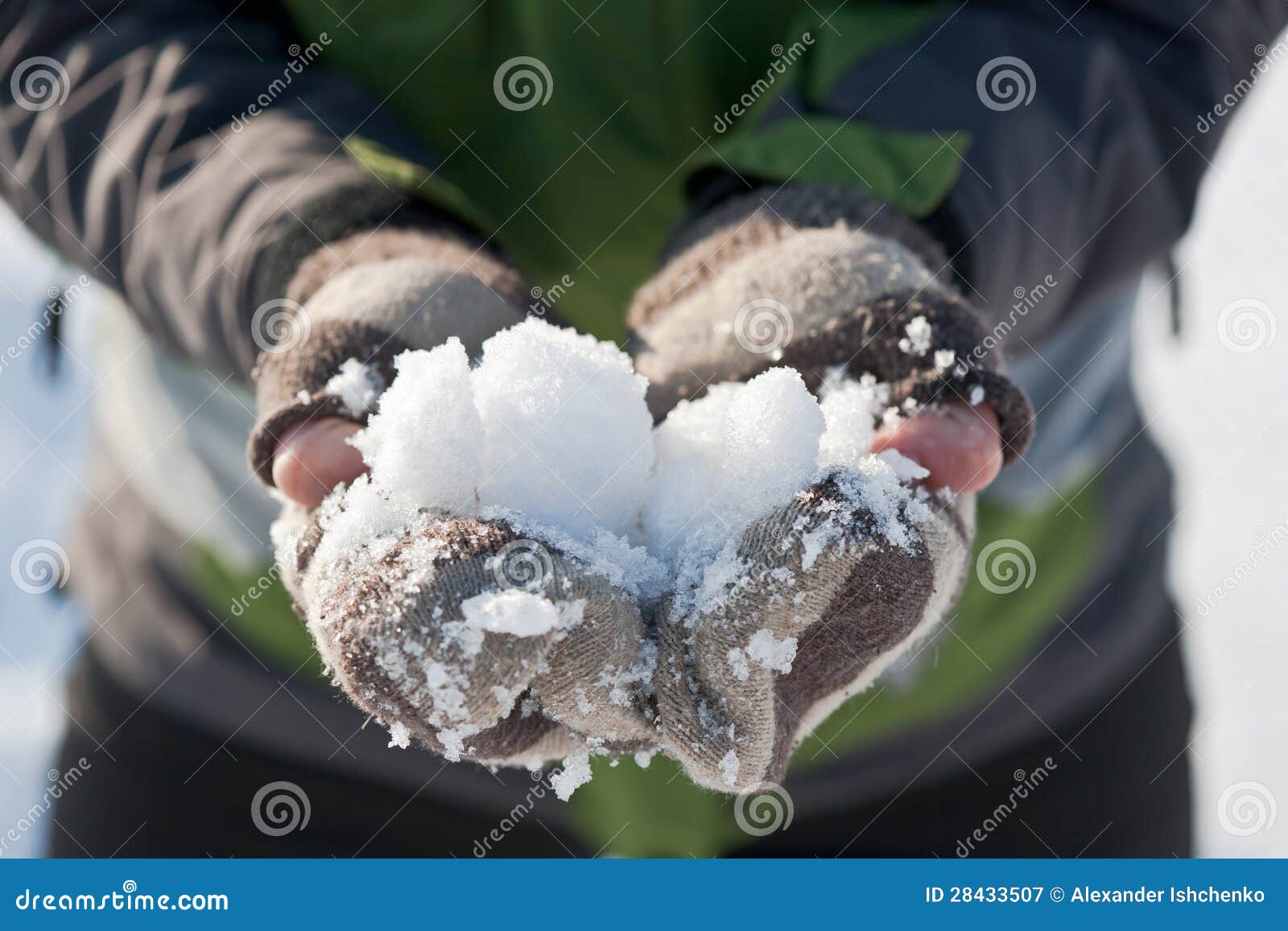 Snow on hands. stock image. Image of winter, woman, nice - 28433507