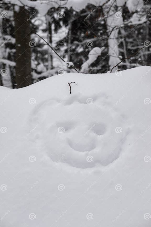 Snow head stock image. Image of texture, head, craft - 49889739