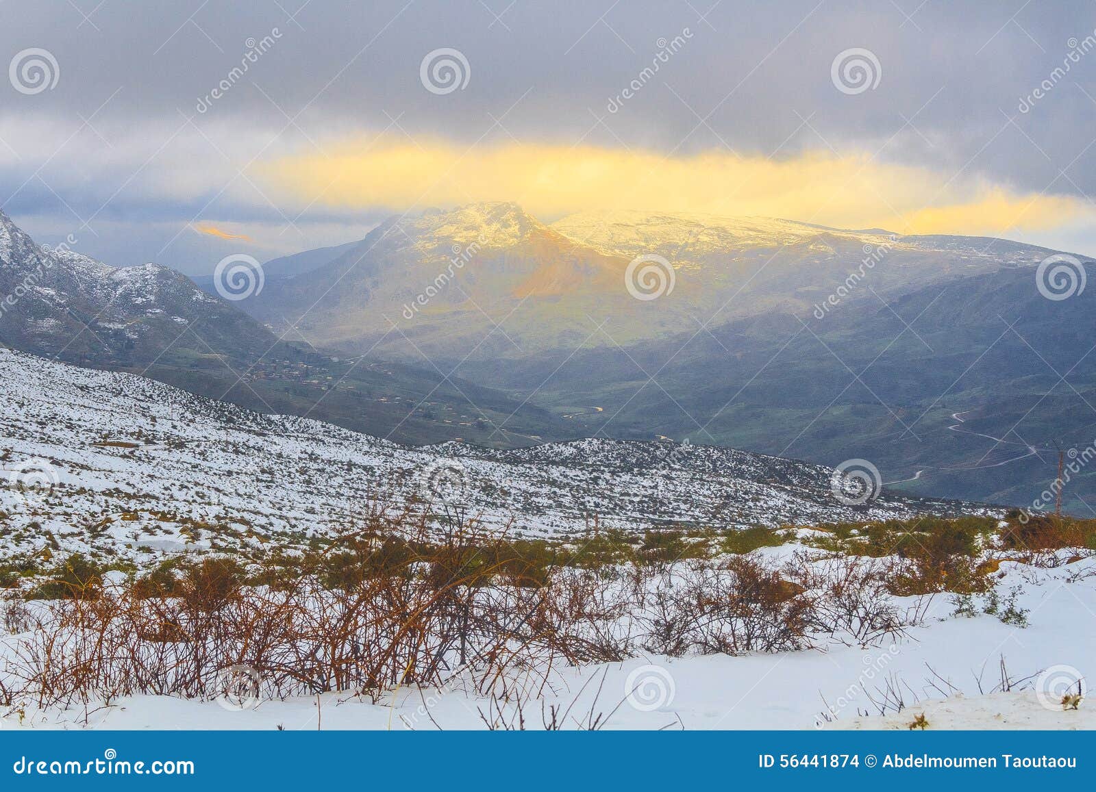 Snow stock photo. Image of winter, algeria, heavy, green - 56441874