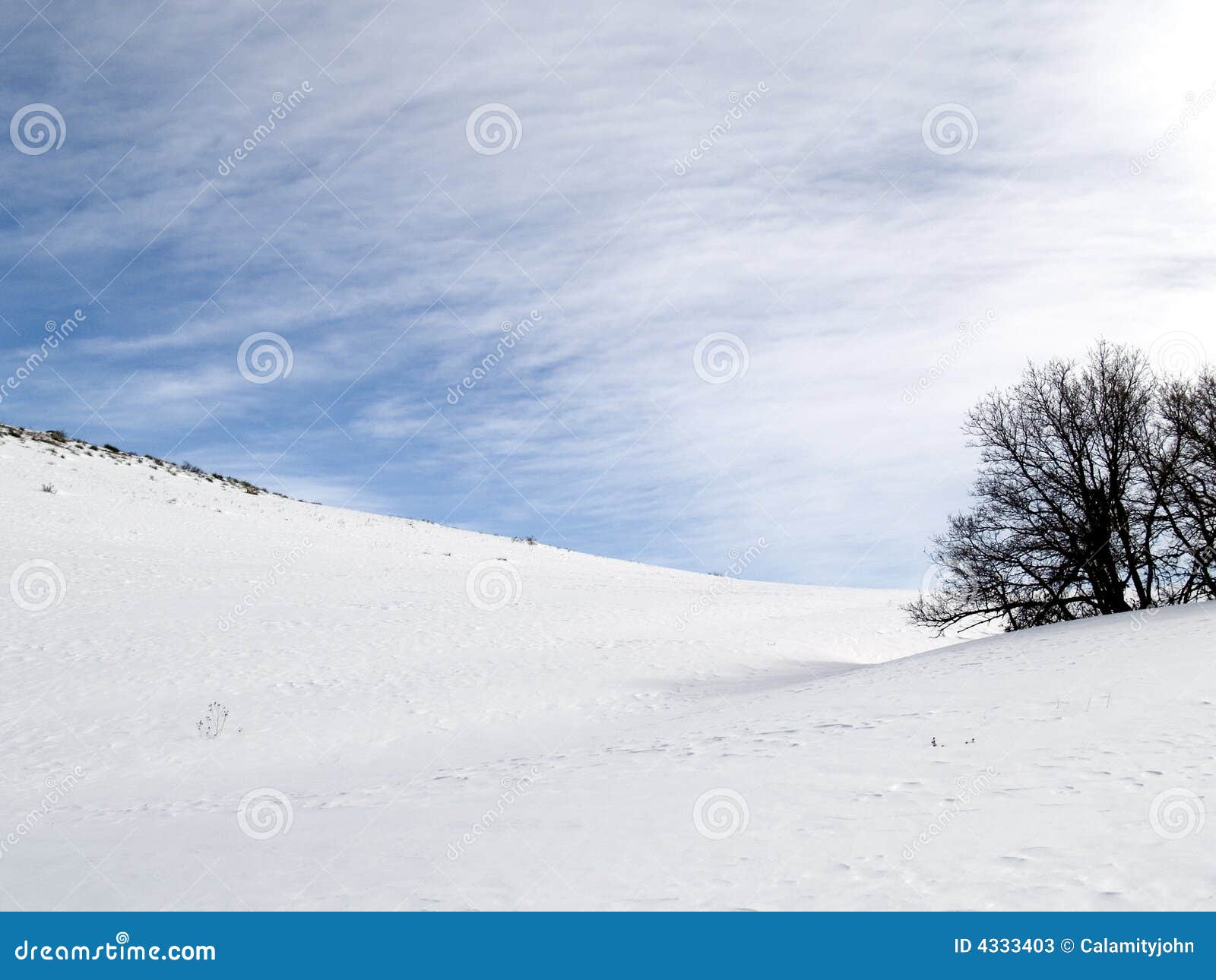 Snow Hill stock image. Image of snow, hiillside, tree - 4333403