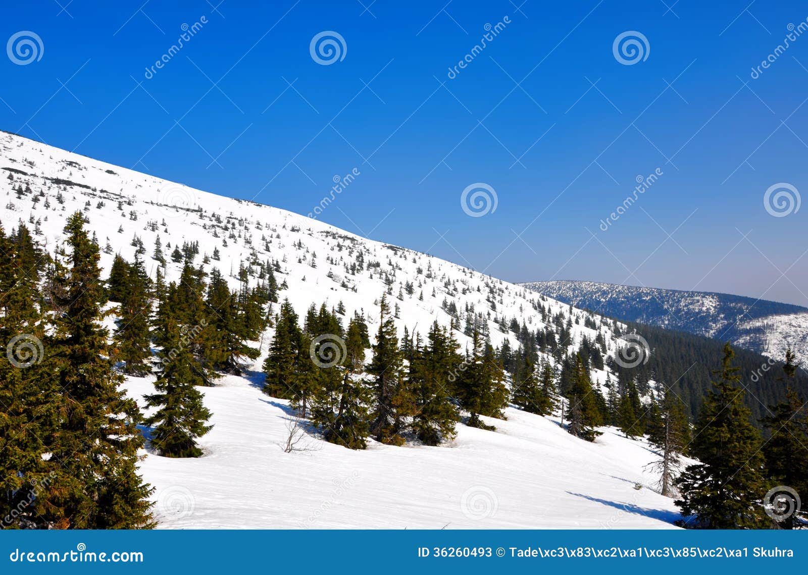 Snow hill stock image. Image of outdoor, mountains, alpine - 36260493