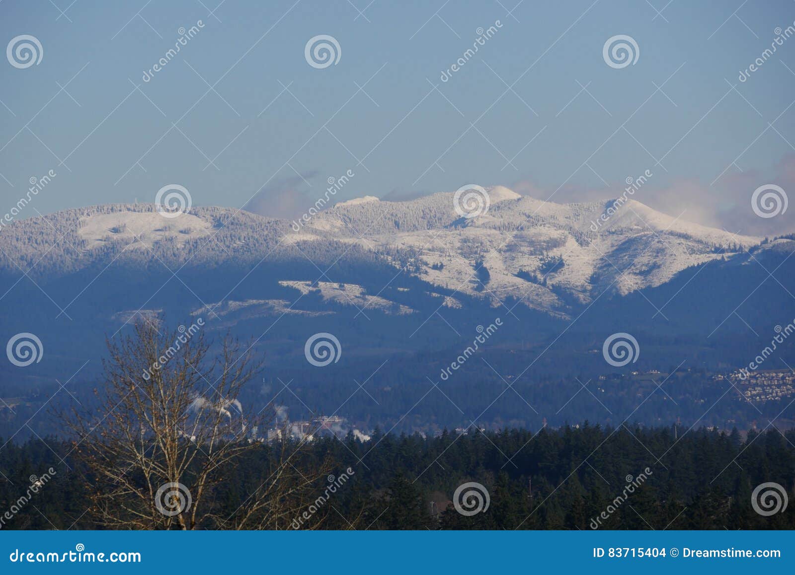 Snow on Hills in Oregon stock photo. Image of burrowed - 83715404