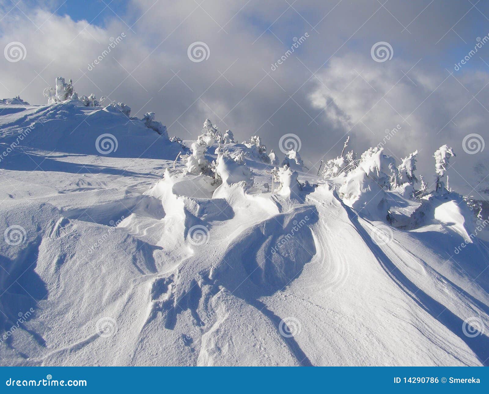 Snow horizon stock photo. Image of snow, winter, mountain - 14290786