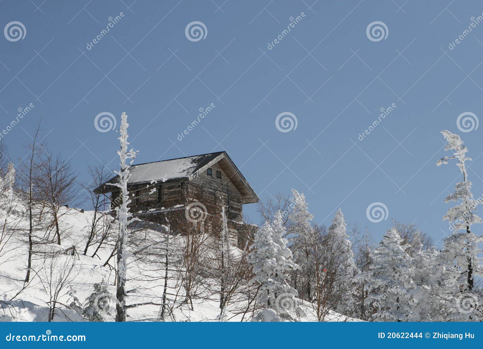 Snow hut stock photo. Image of fairy, chalet, powder - 20622444