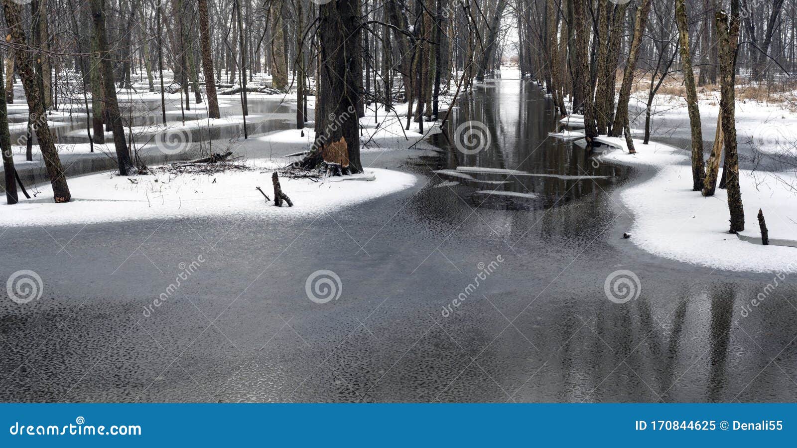 Snow and ice in forest stock image. Image of season - 170844625