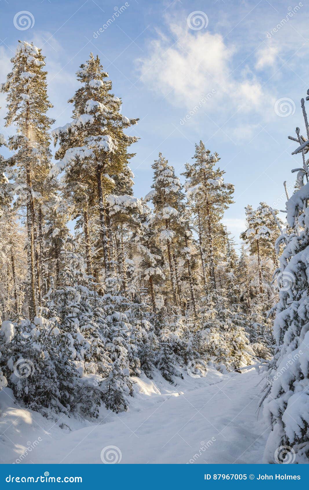 Snow and Ice on Road in Scotland. Stock Image - Image of road, snow ...