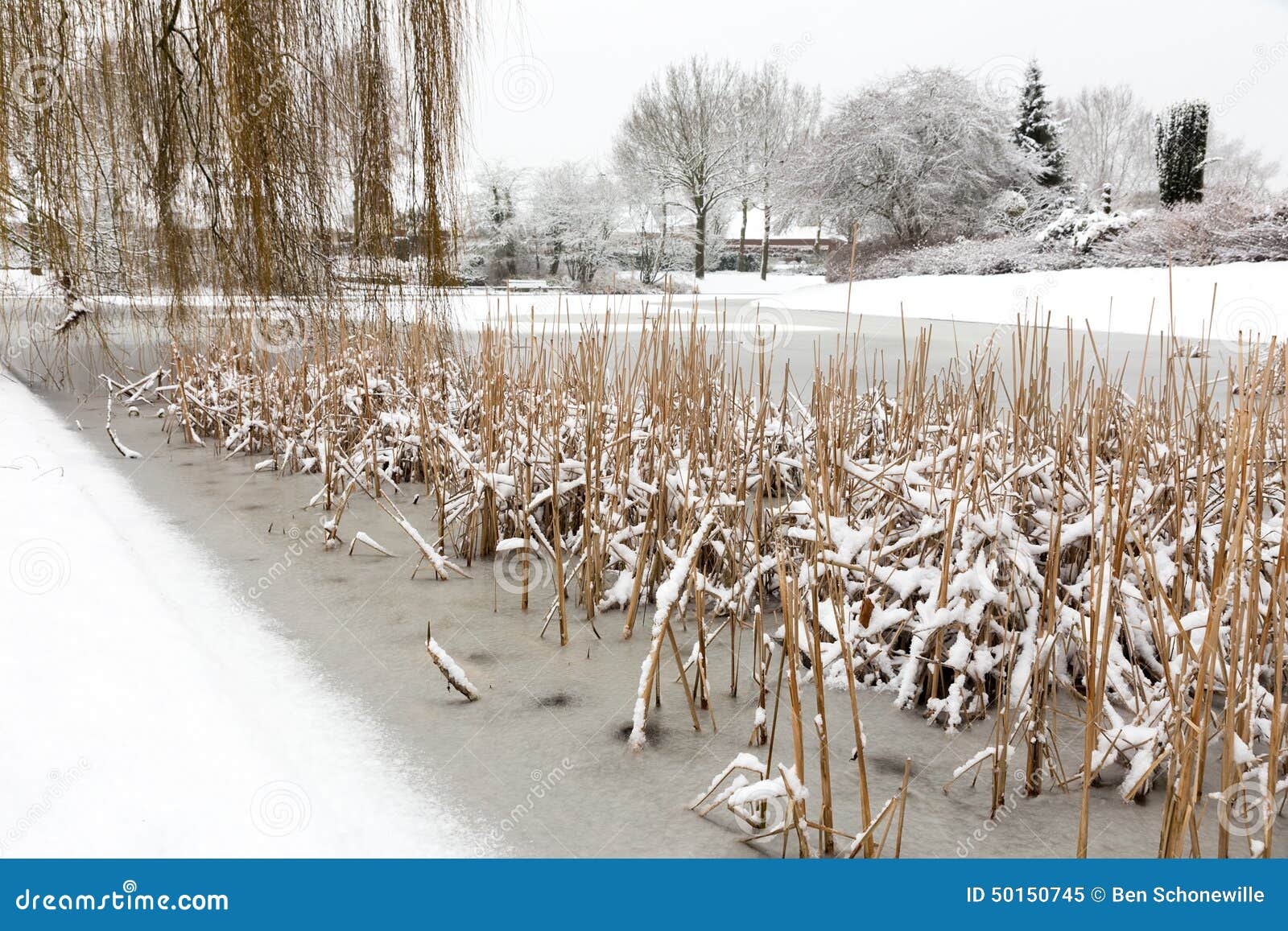 Snow and Ice on Water of Pond Stock Image - Image of trees, snow: 50150745