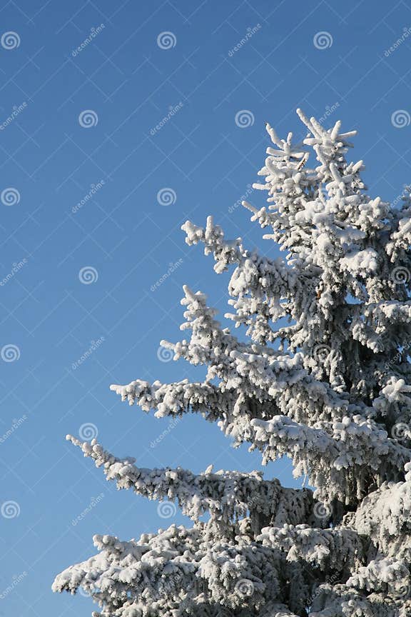 Snow Icing stock image. Image of cold, glowing, snow, winter - 3938045