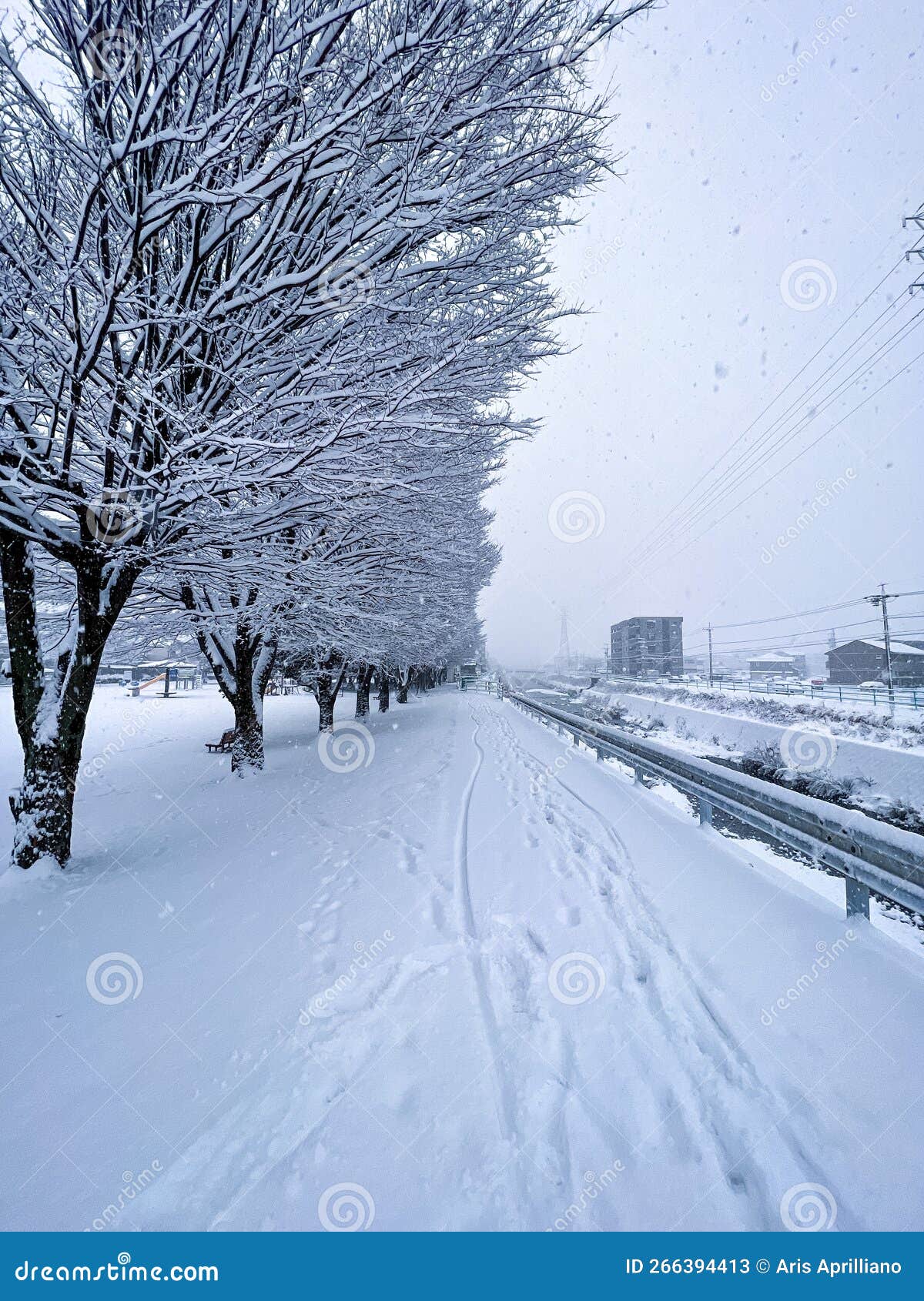 Snow in japan stock image. Image of nature, japan, december - 266394413