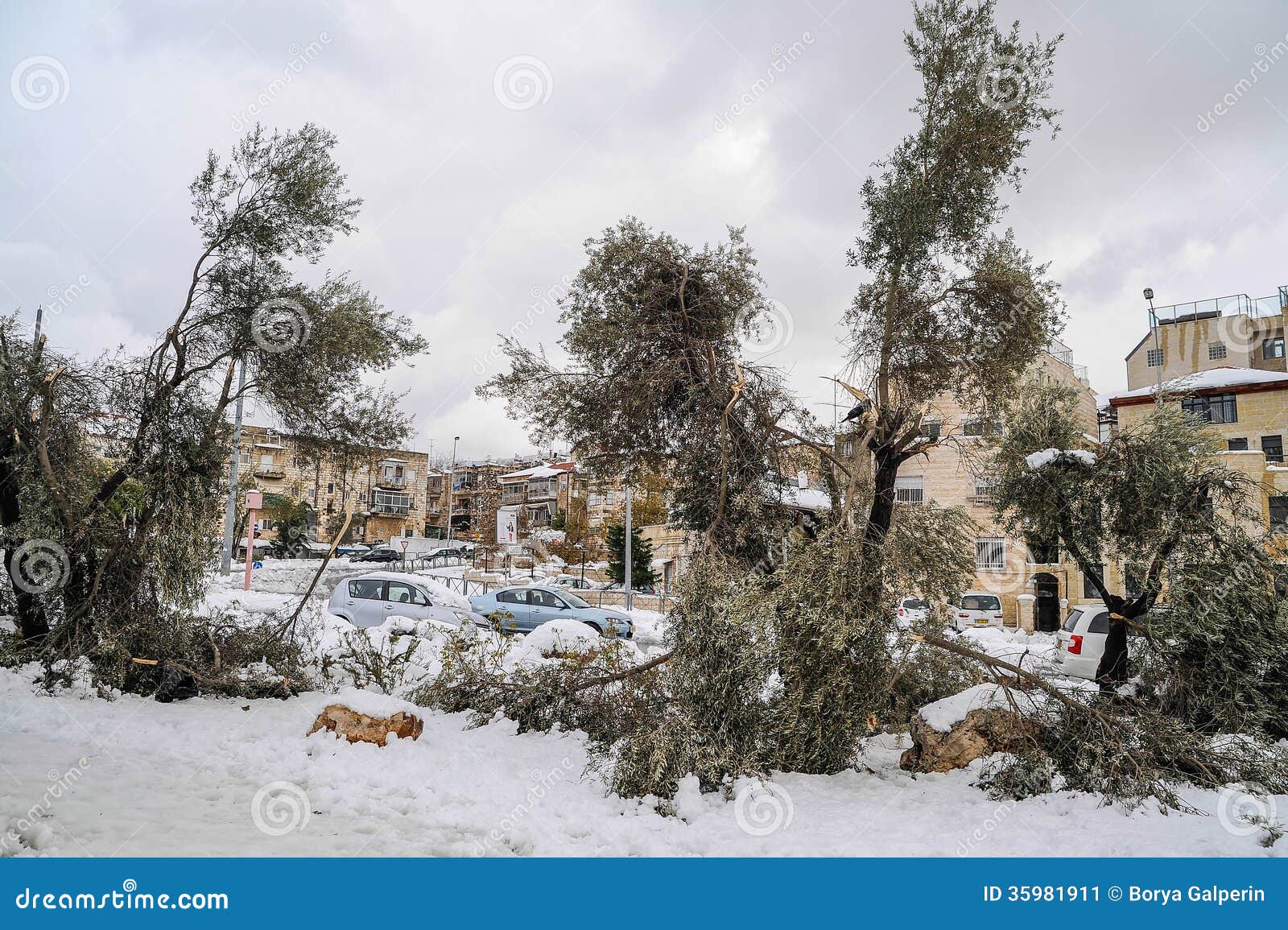 Snow in Jerusalem editorial photo. Image of climate, frond - 35981911