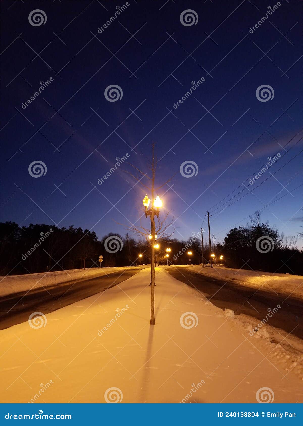 Snow and Lamp Posts stock photo. Image of night, snow - 240138804