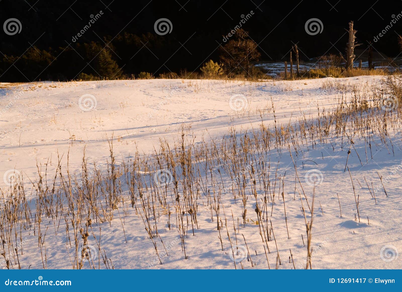 Snow land stock image. Image of grassland, delight, grass - 12691417